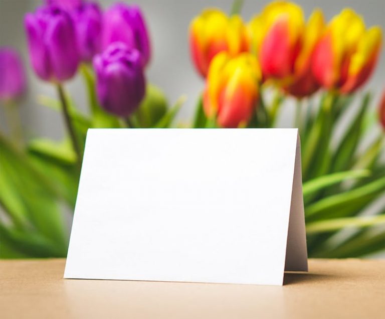 What Are the Different Types of Greeting Cards That Exist Today ...